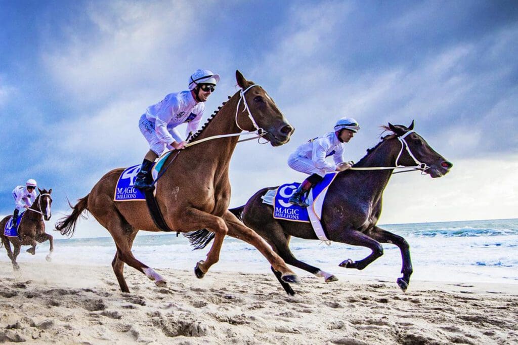 Magic Millions | Donovan & Co