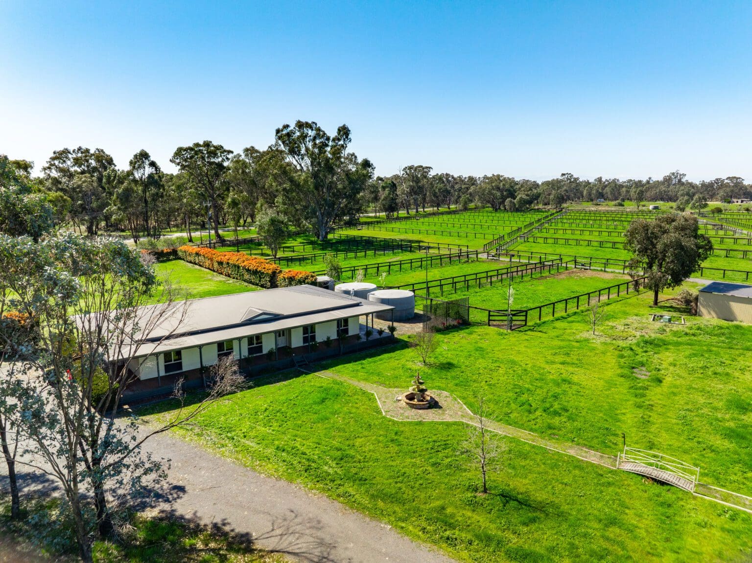 561 Baddaginnie – Benalla Road, BADDAGINNIE VIC 3670 | Donovan & Co