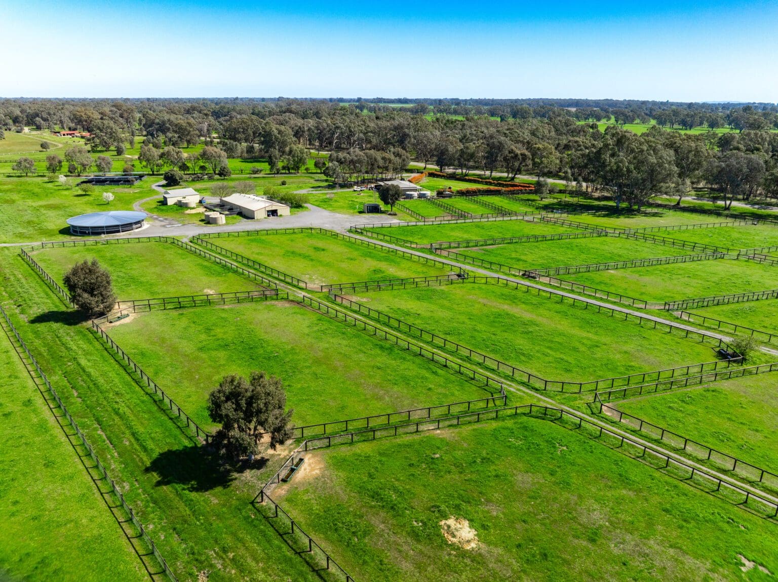 561 Baddaginnie – Benalla Road, BADDAGINNIE VIC 3670 | Donovan & Co