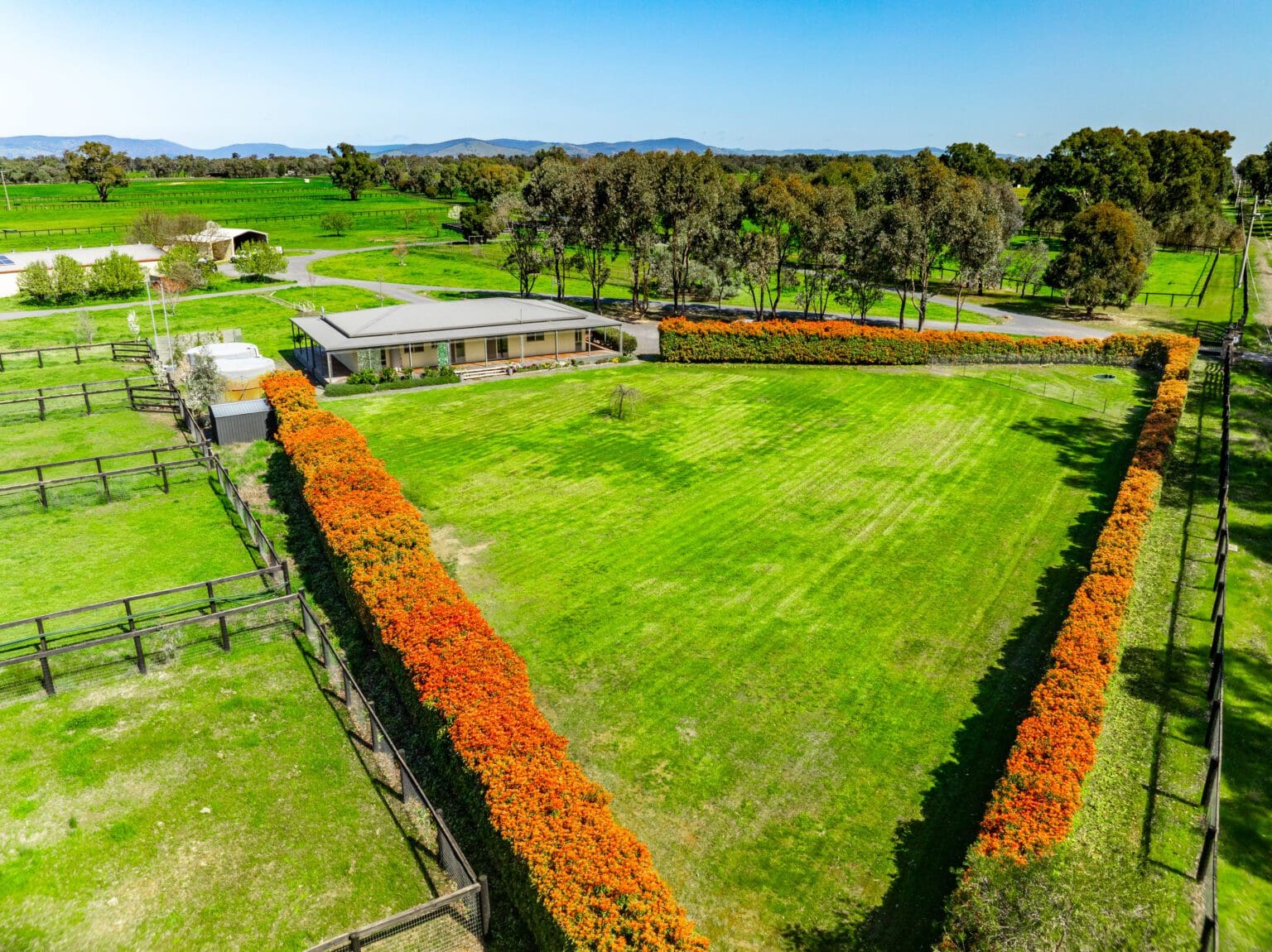 561 Baddaginnie – Benalla Road, BADDAGINNIE VIC 3670 | Donovan & Co