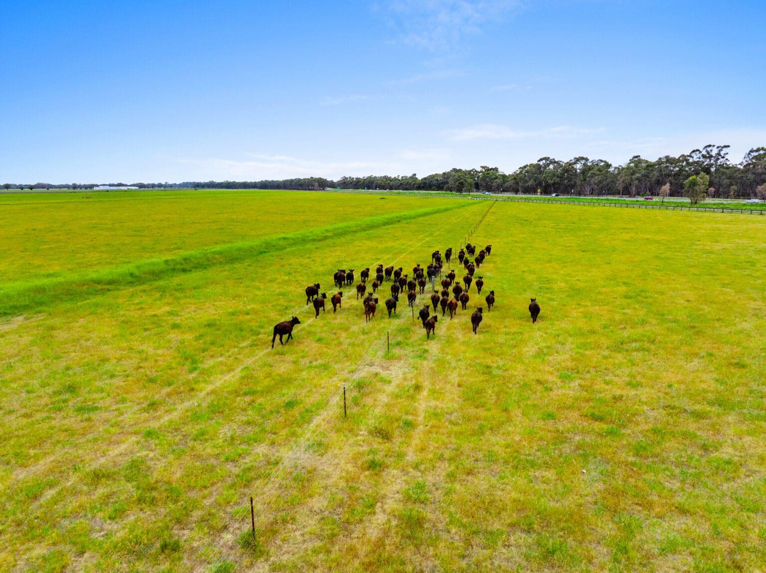 431 Morningside Road, WAHRING VIC 3608 | Donovan & Co