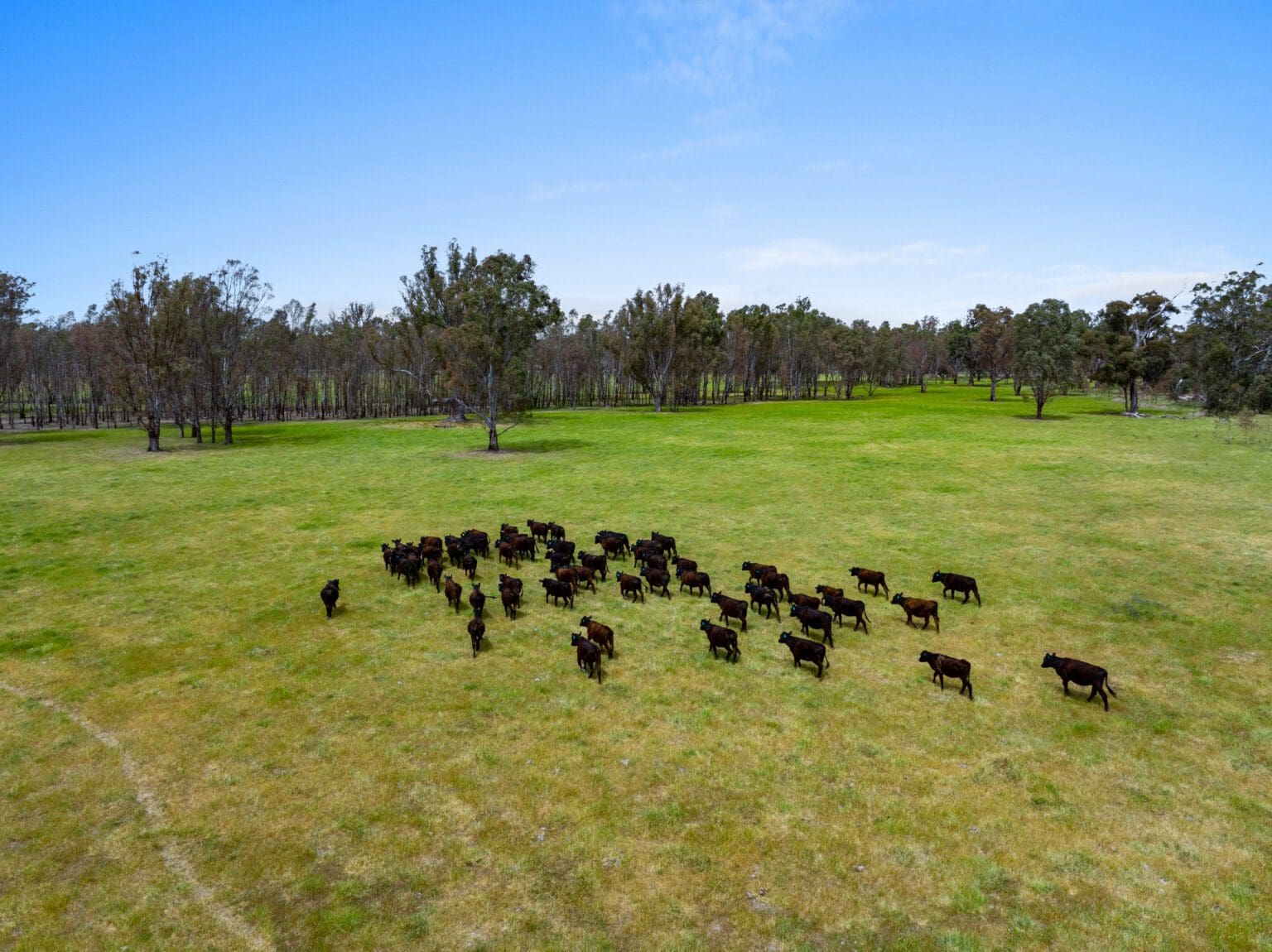 431 Morningside Road, WAHRING VIC 3608 | Donovan & Co
