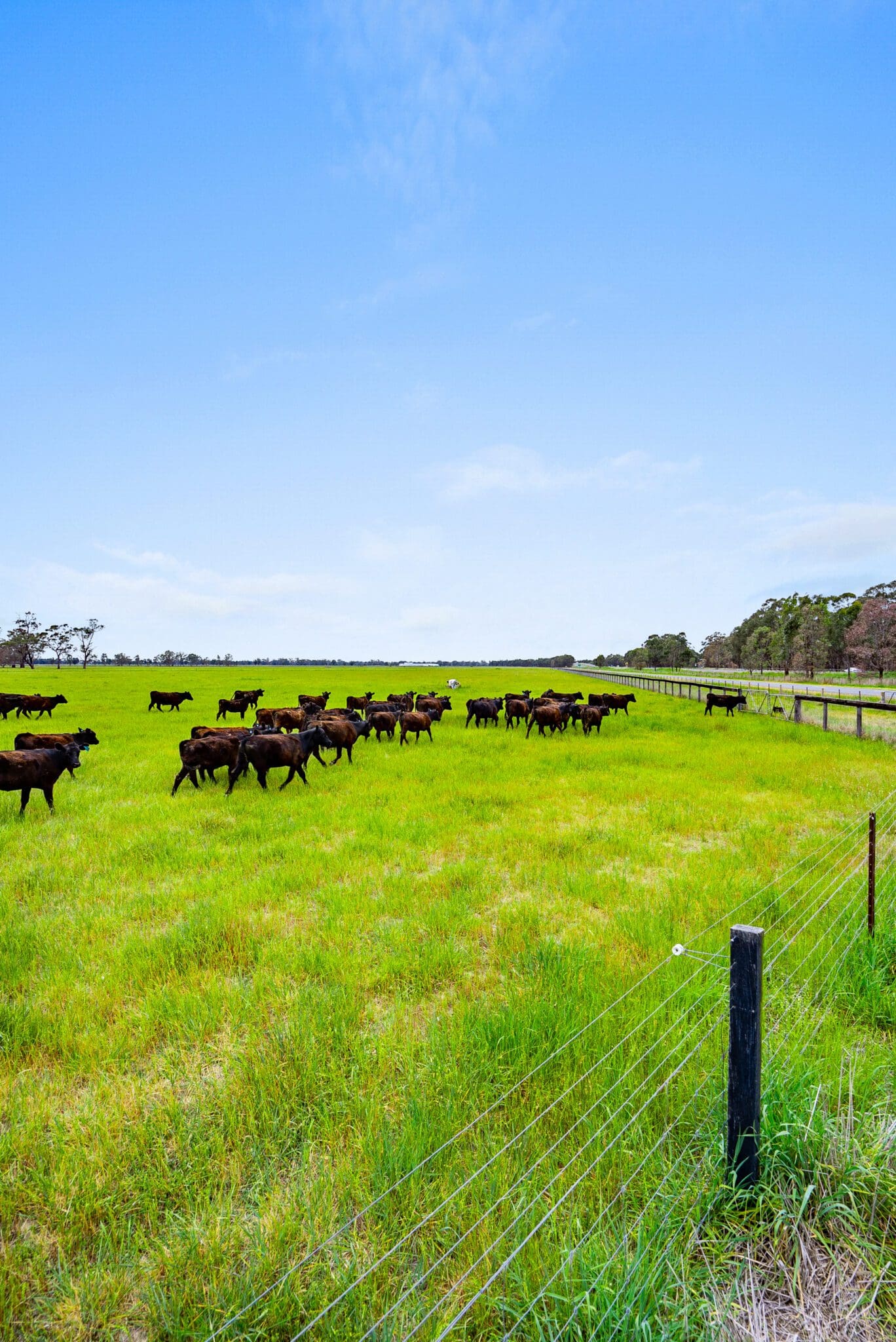 431 Morningside Road, WAHRING VIC 3608 | Donovan & Co