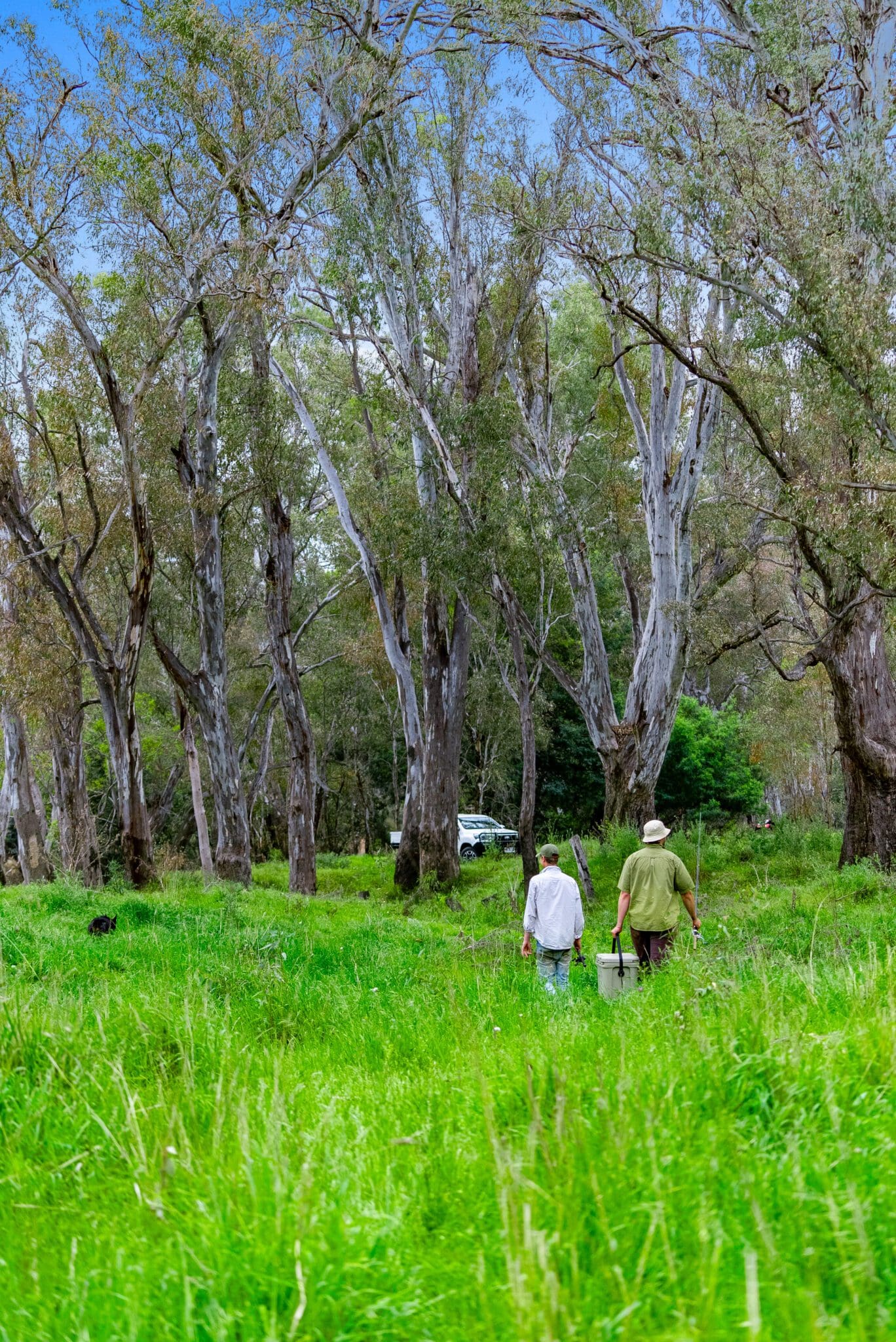 431 Morningside Road, WAHRING VIC 3608 | Donovan & Co