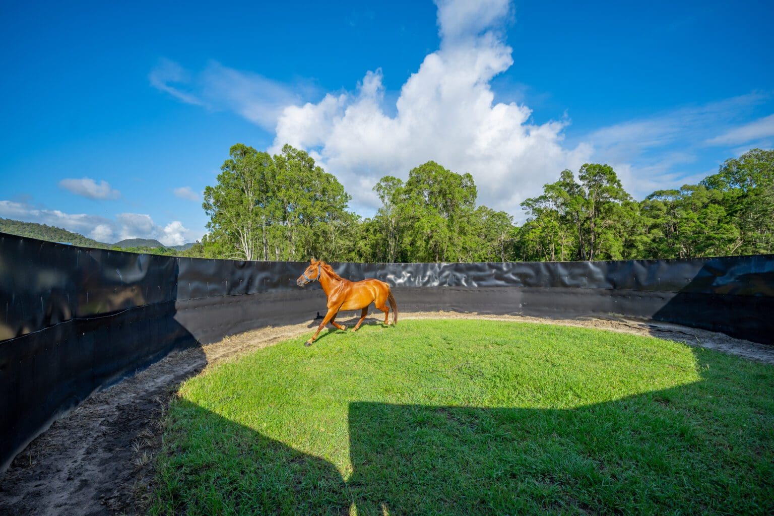 45 Gerara Court, CLAGIRABA QLD 4211 | Donovan & Co