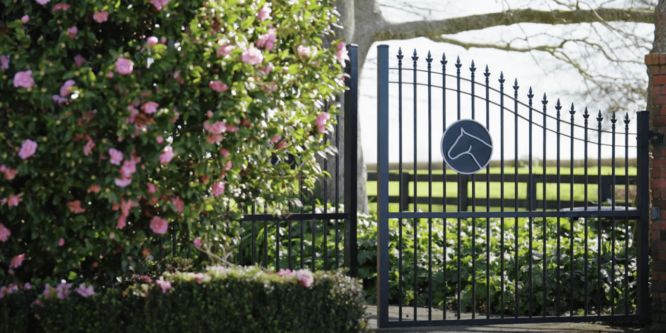 The Oaks Stud, Cambridge New Zealand | Donovan & Co