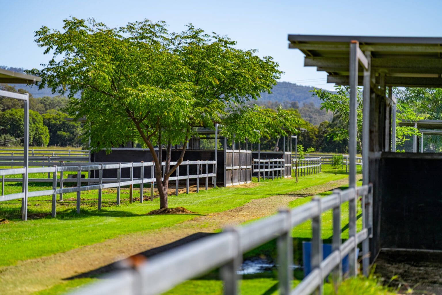 137 Kargorum Road, BEAUDESERT QLD 4285 | Donovan & Co