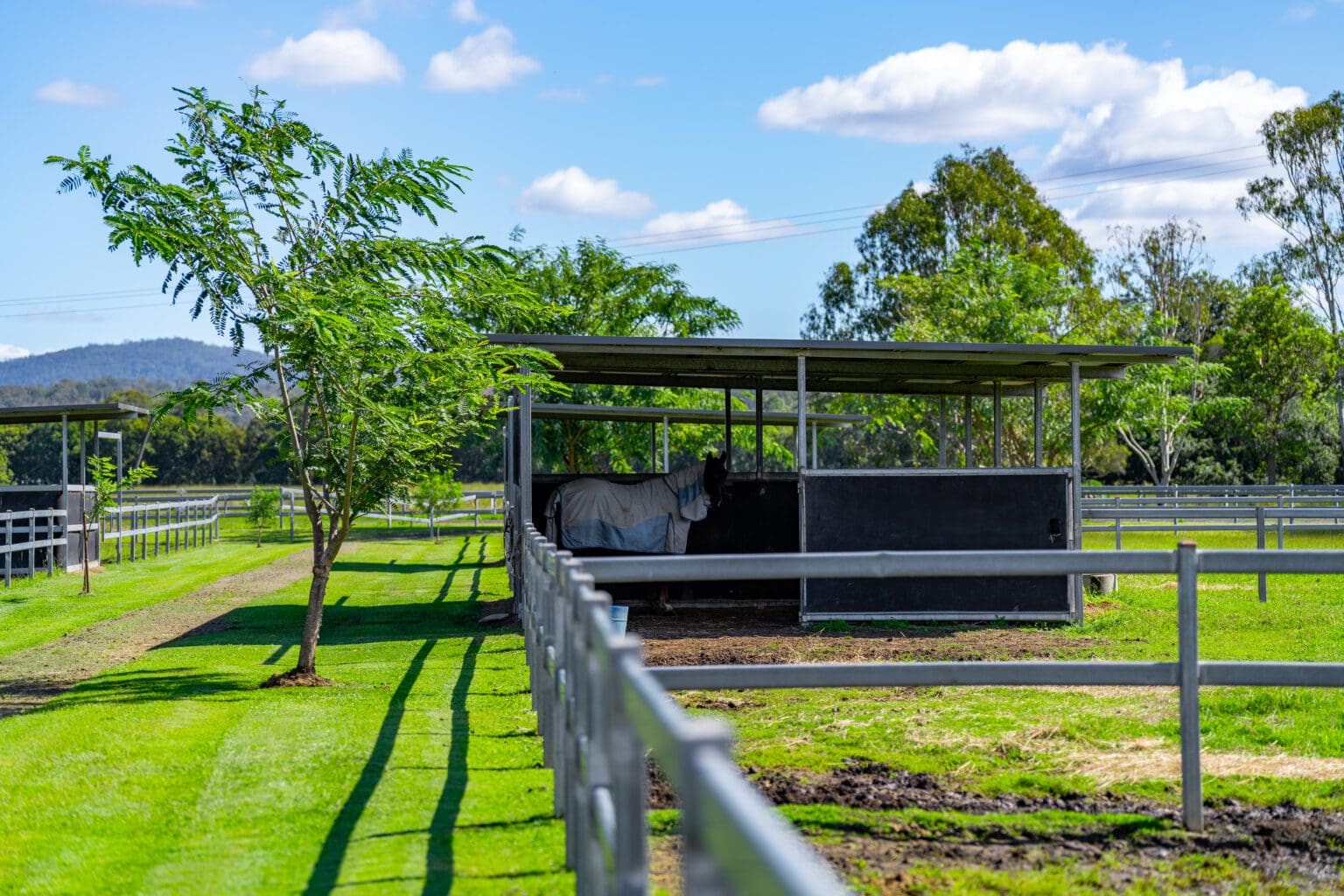 137 Kargorum Road, BEAUDESERT QLD 4285 | Donovan & Co