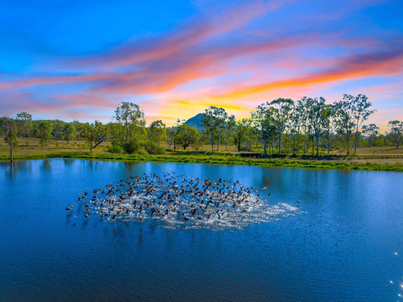 2620 Rosewood-Warrill View Road, COLEYVILLE QLD 4307 | Donovan & Co