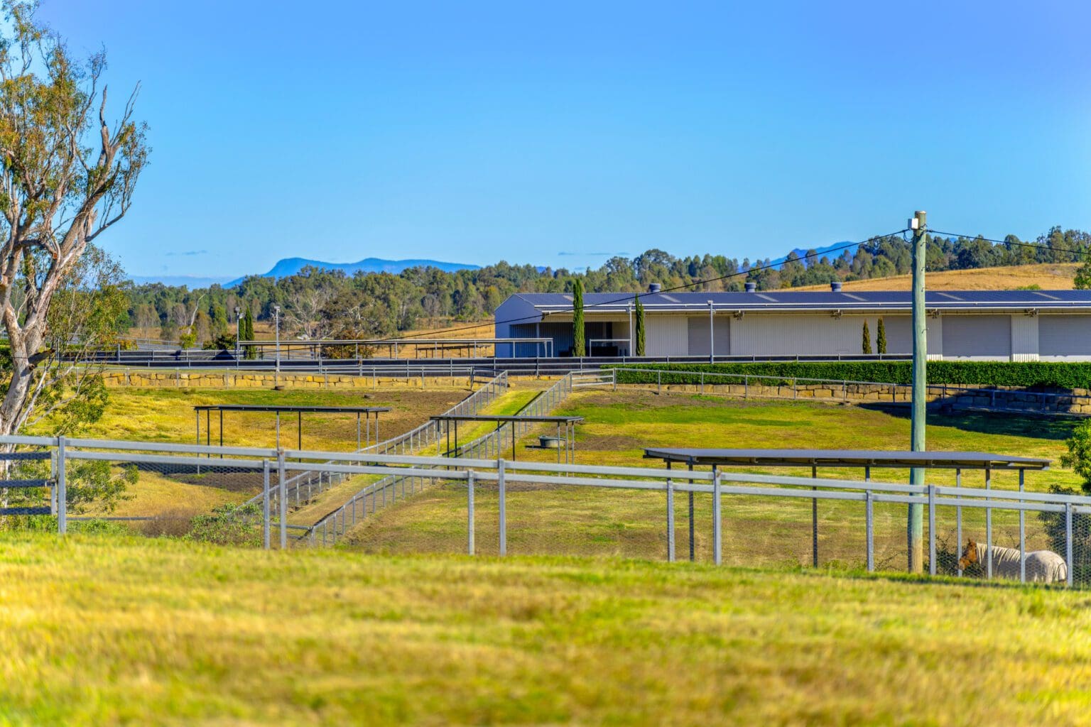 2620 Rosewood-Warrill View Road, COLEYVILLE QLD 4307 | Donovan & Co