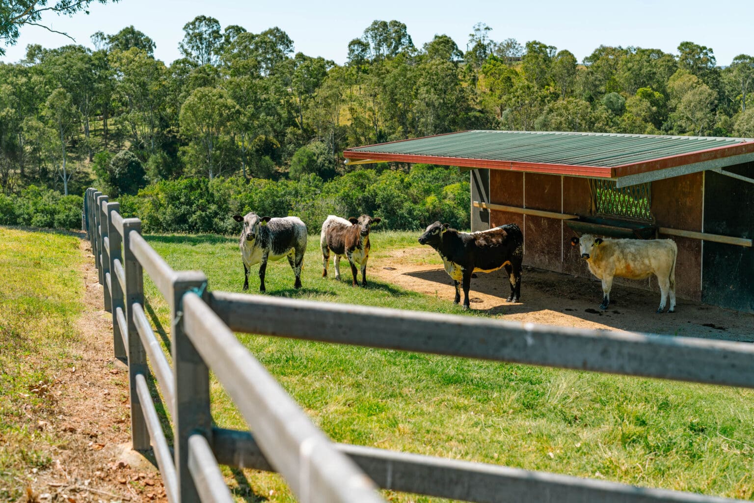 64 Traveston Crossing Road, KYBONG QLD 4570 | Donovan & Co