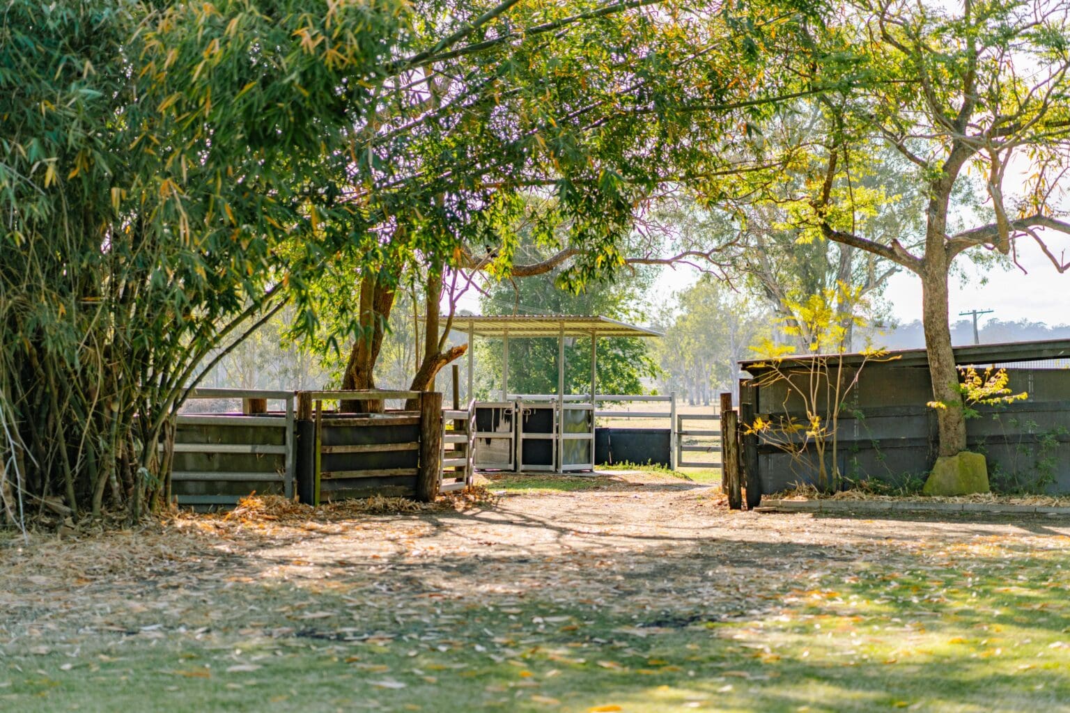 347 Cryna Road, CRYNA QLD 4285 | Donovan & Co