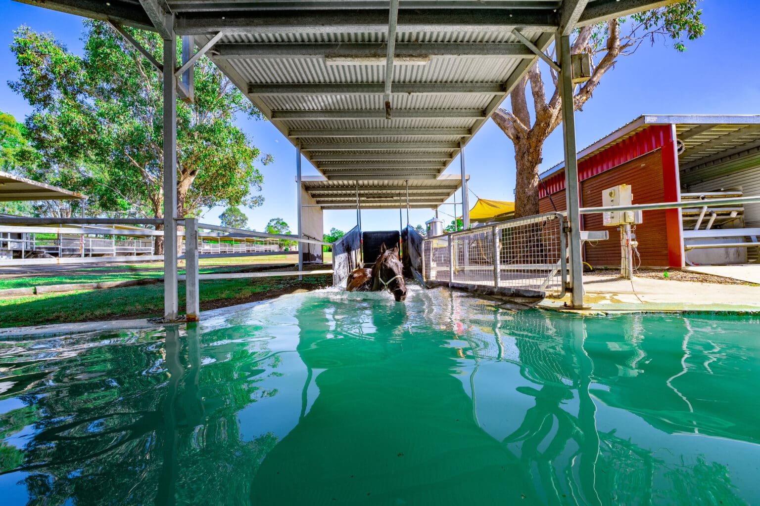 398 Kuss Road, LOWER MOUNT WALKER QLD 4340 | Donovan & Co