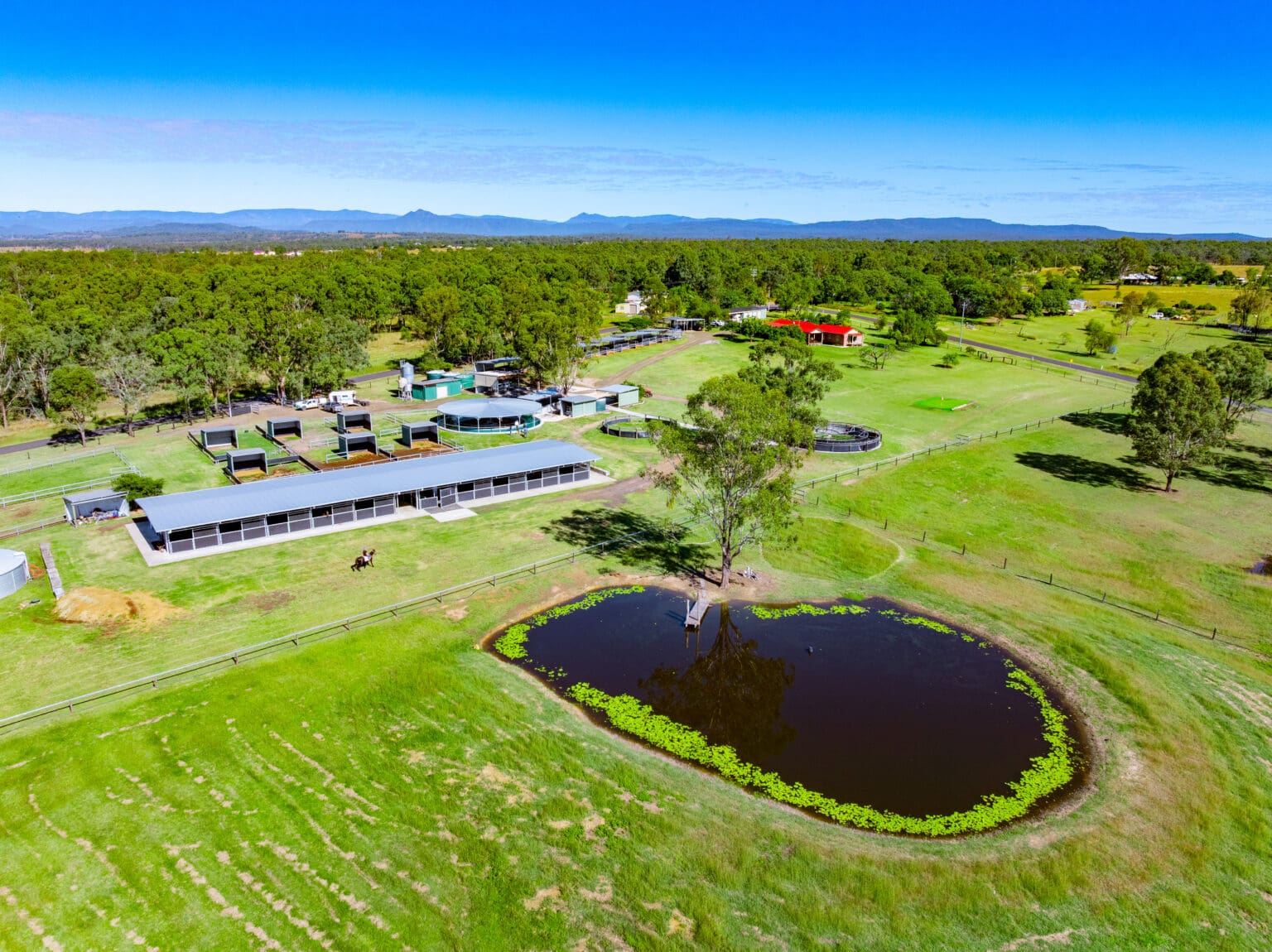 398 Kuss Road, LOWER MOUNT WALKER QLD 4340 | Donovan & Co